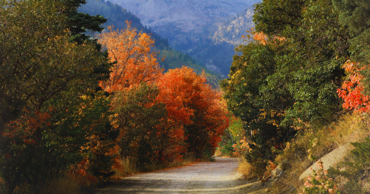Fall in utah The 12 Best Places to See utah Fall Colors - Travel World Rise