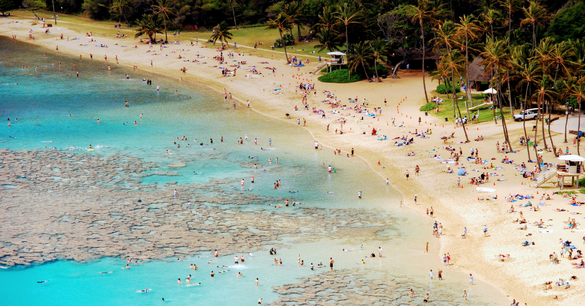 Visiting Hawaii in December 2024:Guide to Weather, Crowds, more ...