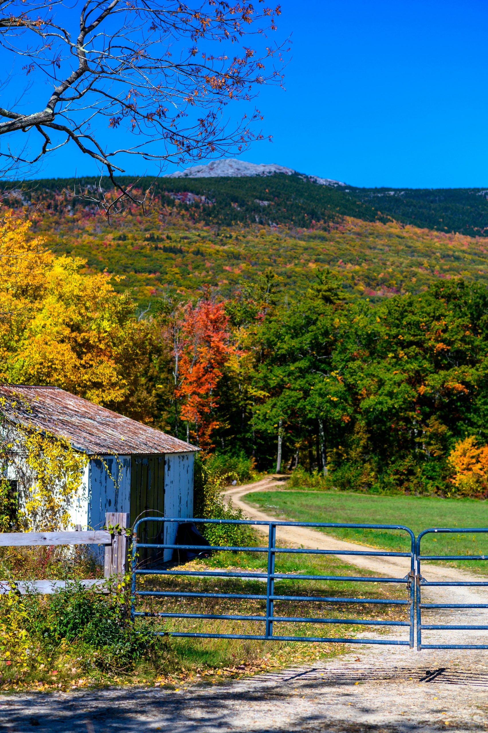 The 12 Perfect New England Fall Road Trip for families - Travel World Rise
